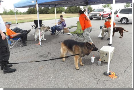 Welcome to K-9 Search & Rescue Of Kansas