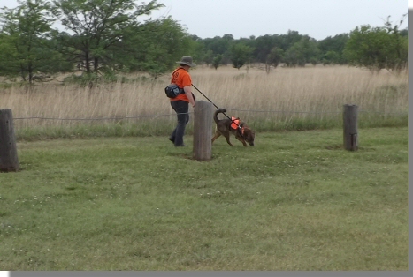 Welcome to K-9 Search & Rescue Of Kansas